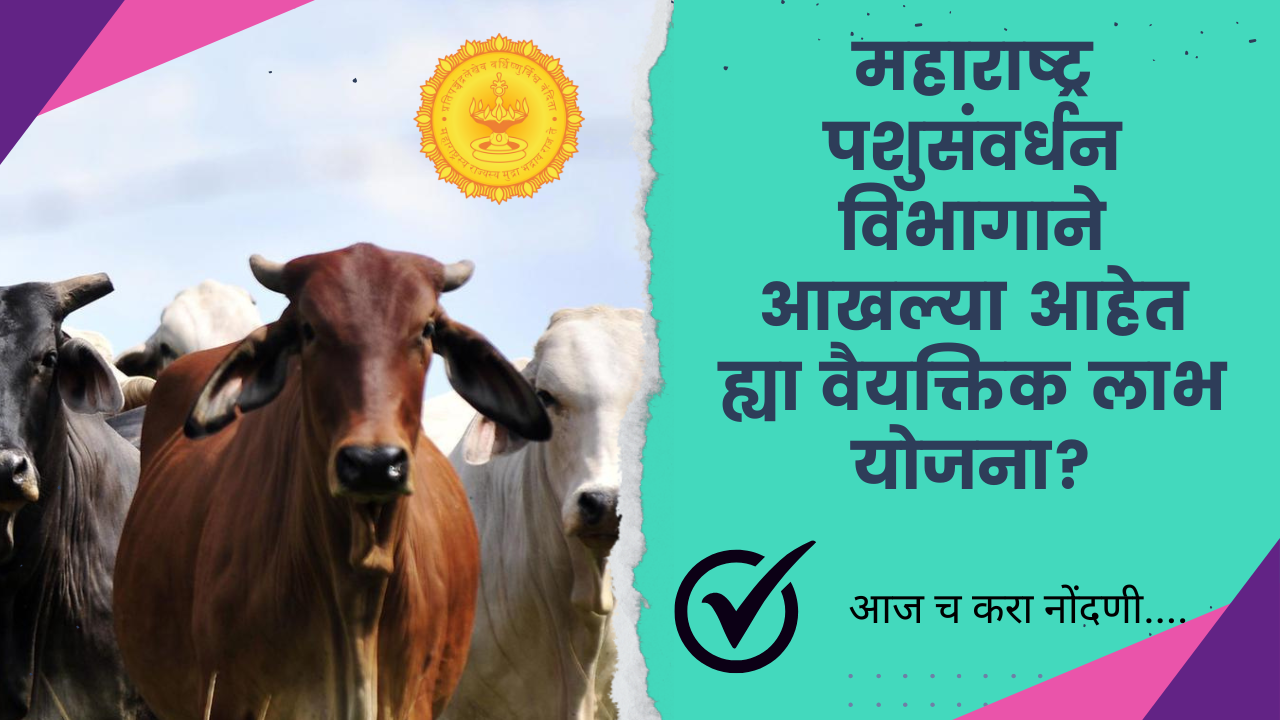 ग्रामीण भागाच्या विकासासाठी, पशुसंवर्धन विभागाच्या विविध योजना आहेत ...